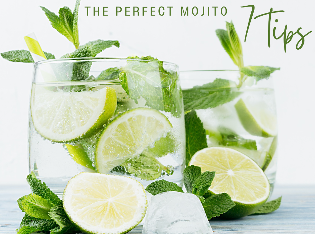 7 Tips for Celebrating National Mojito Day in Style – Maison & Tavola