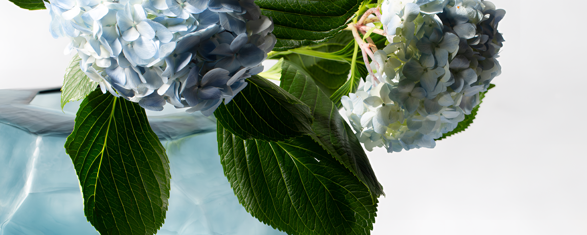 The Blue Collection | Maison & Tavola